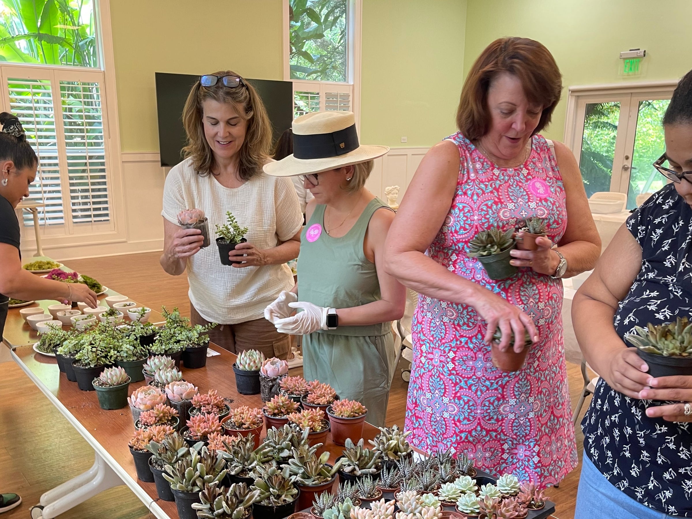 Succulent Arrangement Workshops | Keeks Corner